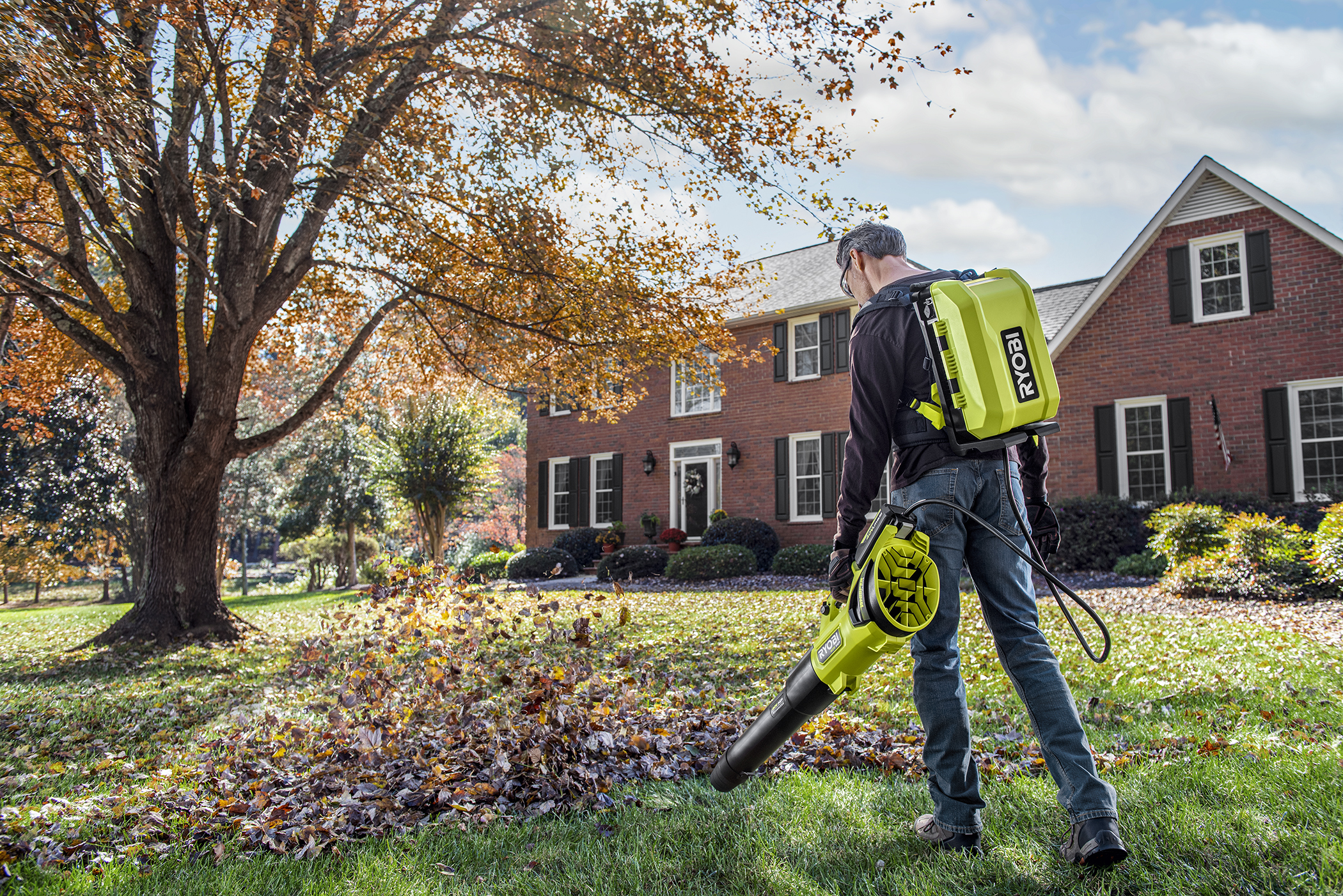 Ryobi cordless backpack blower store