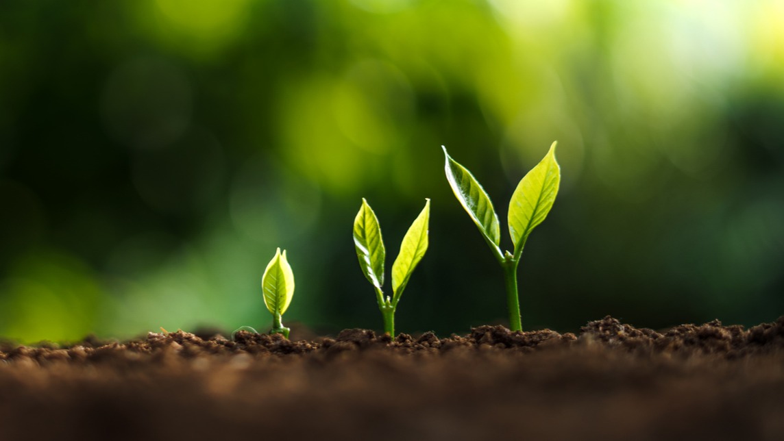 CredibleMind | Move from Languishing to Flourishing in Three Easy Steps