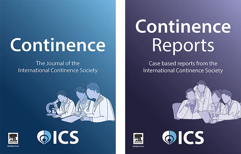 2025 Year in Review ICS
