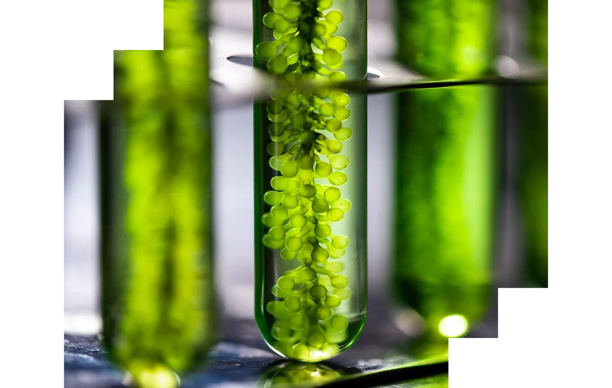 Solutions for Chemicals & Materials R&D | Elsevier