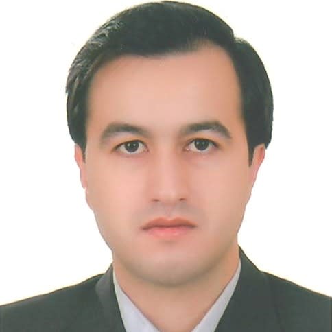 Farshad Darvishi Harzevili | Elsevier