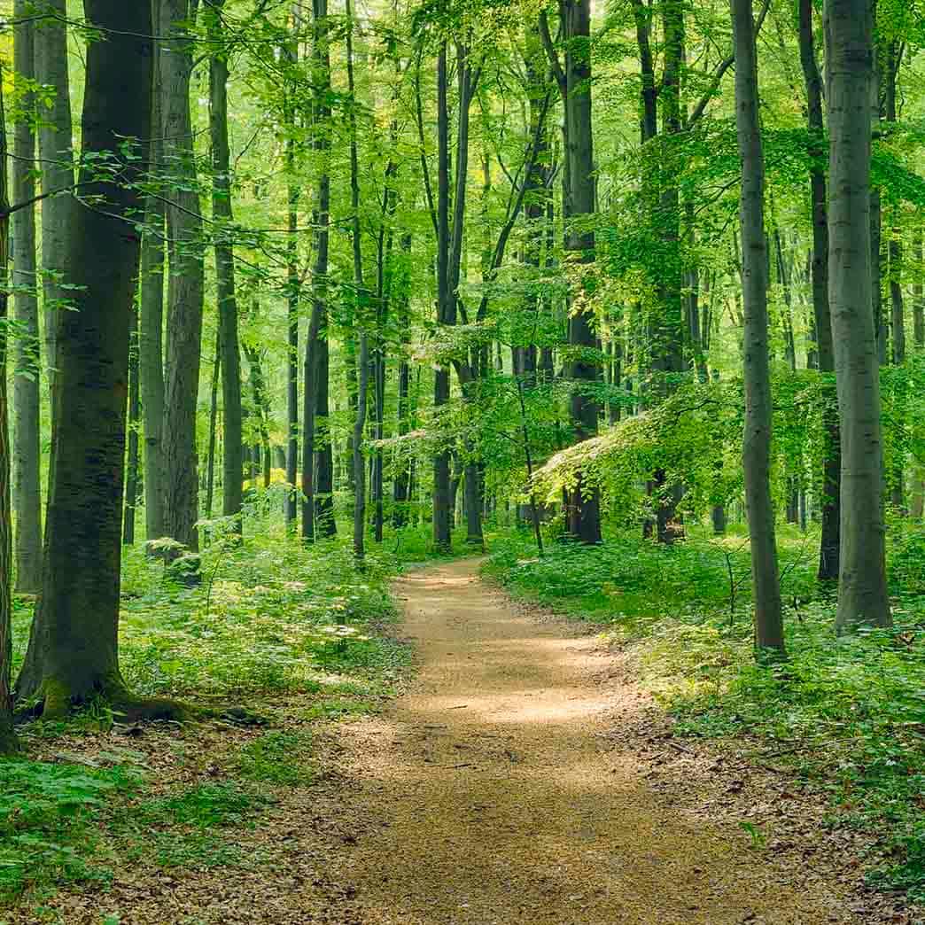 ScienceDirect Topics pages | Elsevier