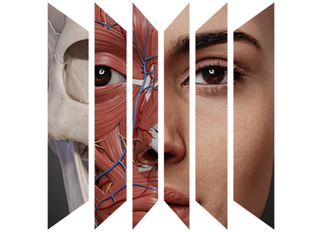 3D-Anatomieplattform | Complete Anatomy | Elsevier
