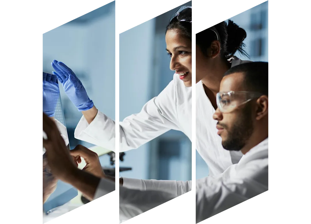 Apoyo en la toma de decisiones de inmunohistoquímica | ImmunoQuery | Elsevier