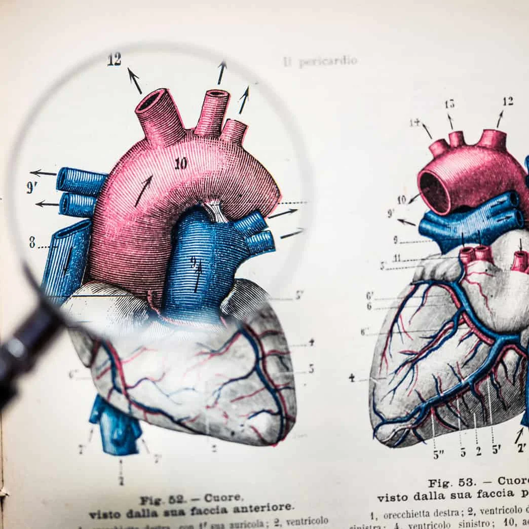 Honoring Our Past: Historic & Seminal Articles