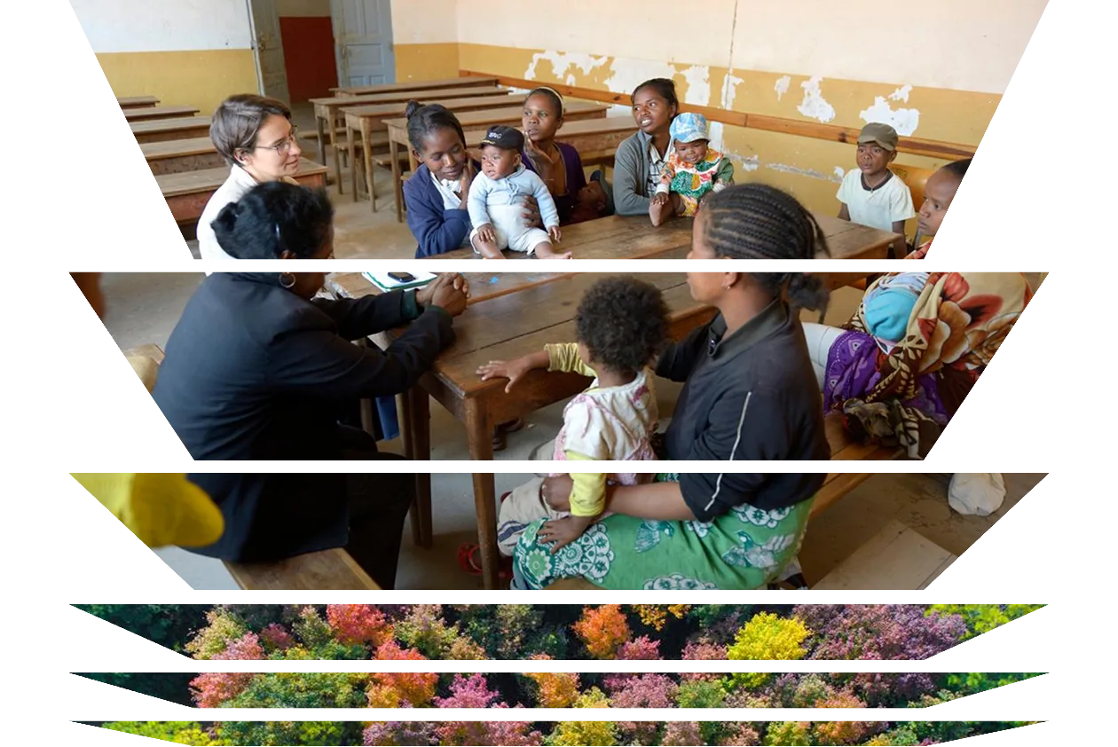 The Elsevier Foundation | Elsevier