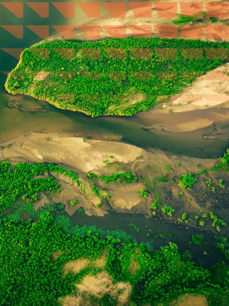 Meet Elsevier's Climate Action Board