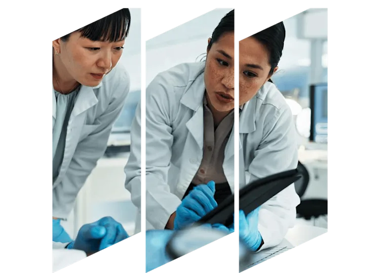 Um banco de dados médico para pesquisas | Embase | Elsevier