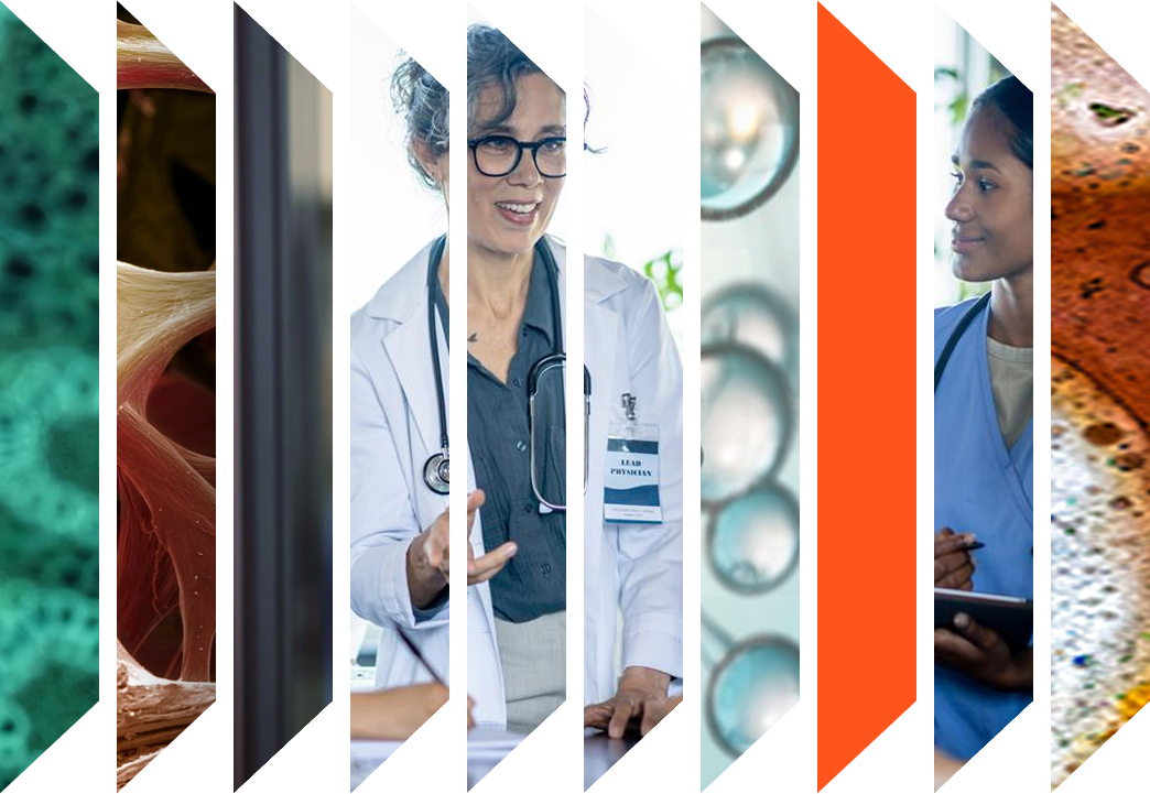 Medical Education Solutions | Elsevier