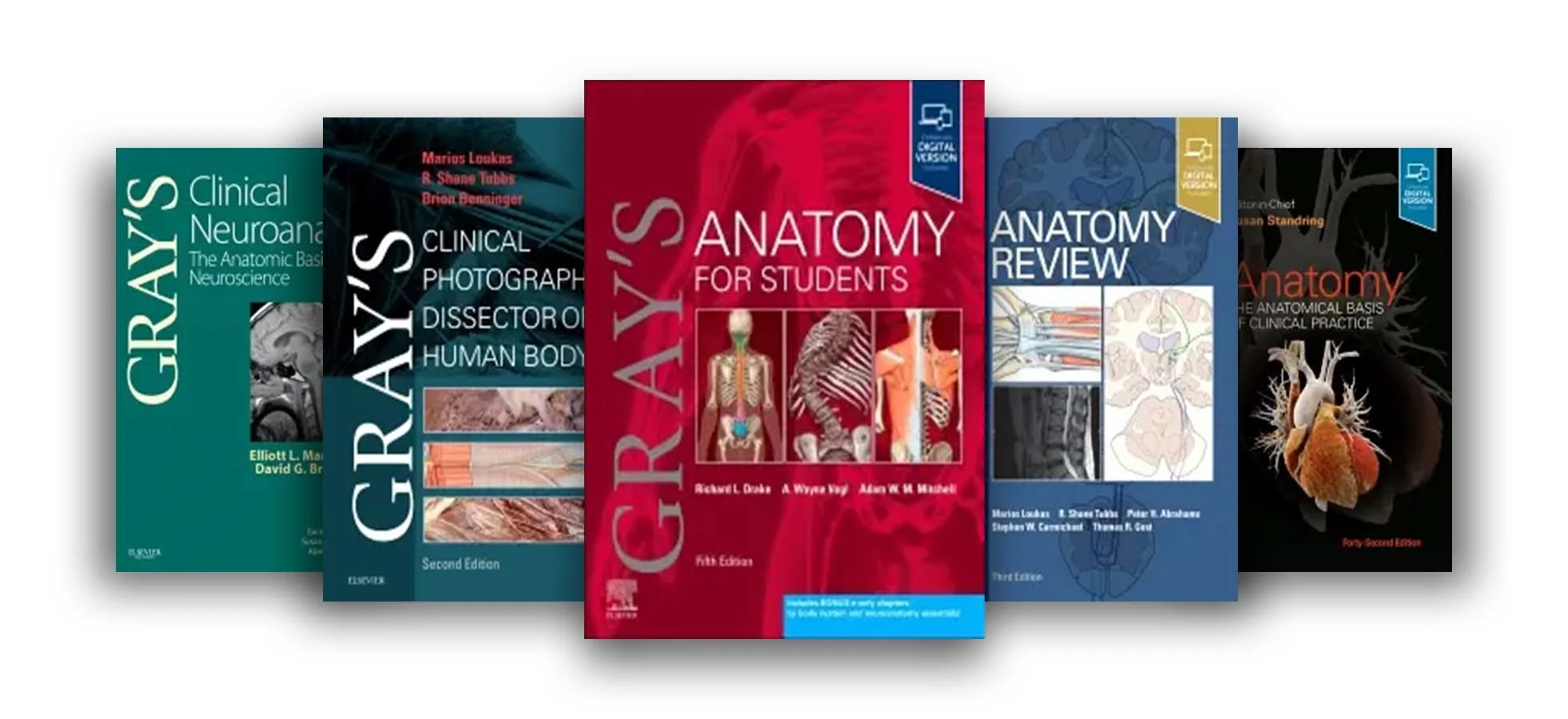 Gray's Anatomy | Elsevier