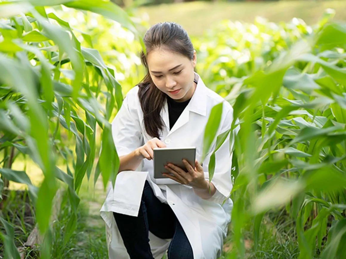 About Elsevier | Climate action