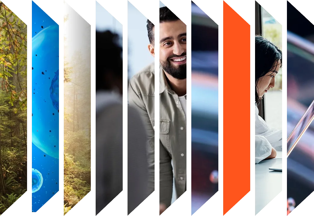 Herramientas y bases de datos de Educación STEM | Elsevier