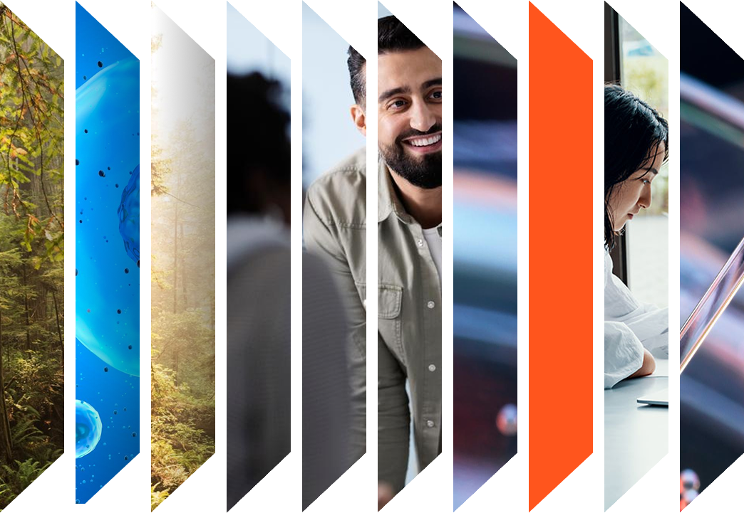 STEM 教育工具和数据库 | Elsevier