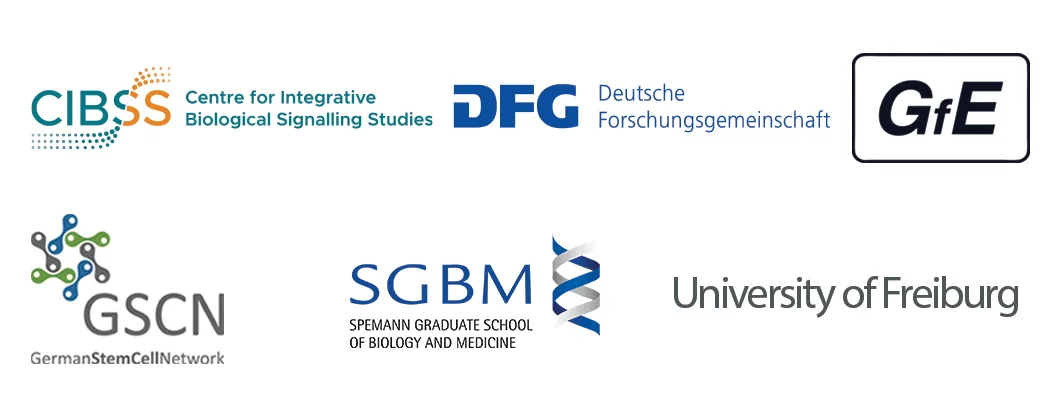 Self-Organization in Biology | About | Elsevier