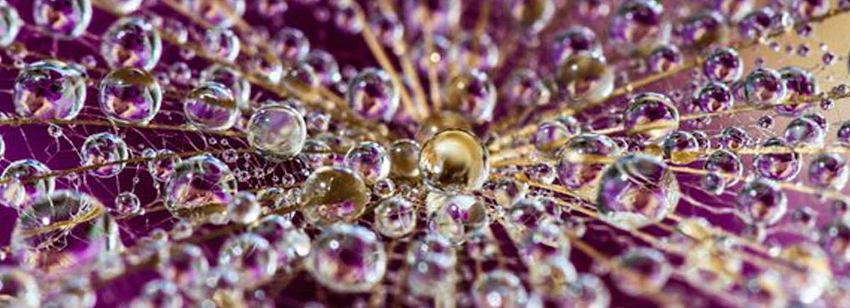 How we can help and support you | Elsevier