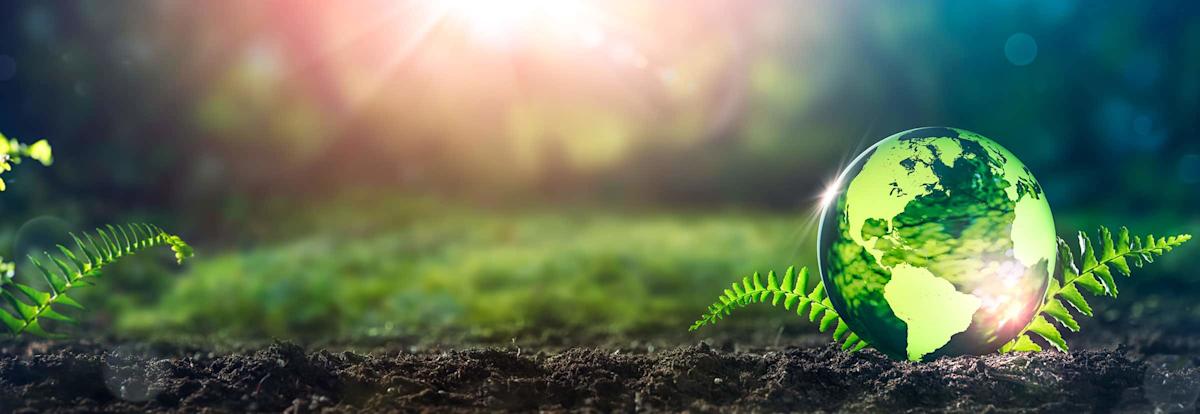 Environmental Science Ecosystem