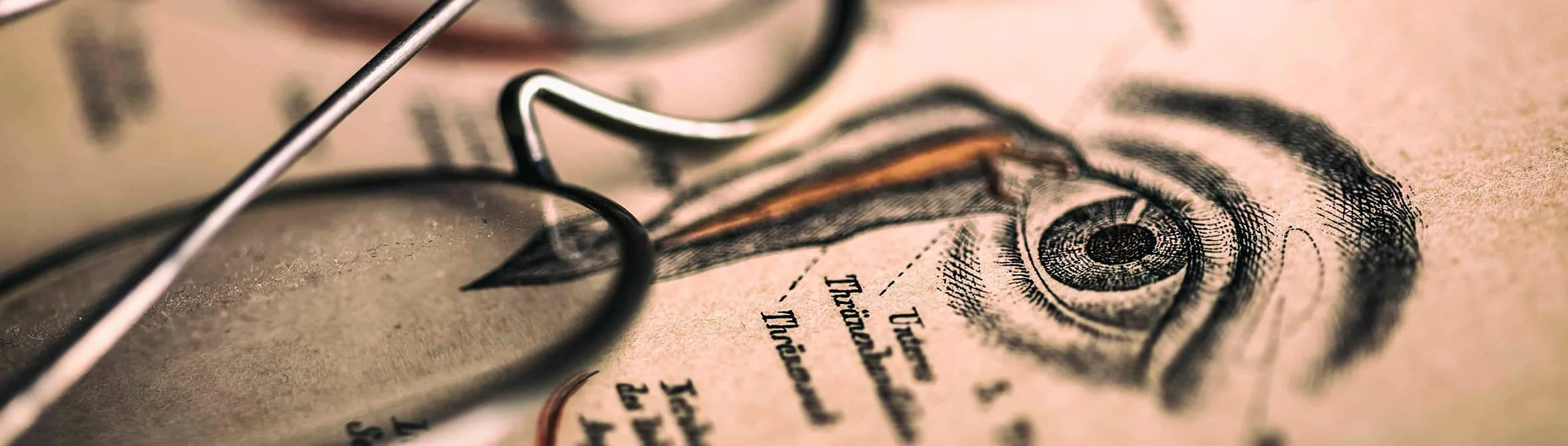 Publish with Elsevier: Step by step