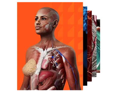 Plataforma de anatomia 3D | Complete Anatomy | Elsevier