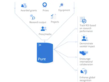 How Pure works - The power of organized insight, at your fingertips