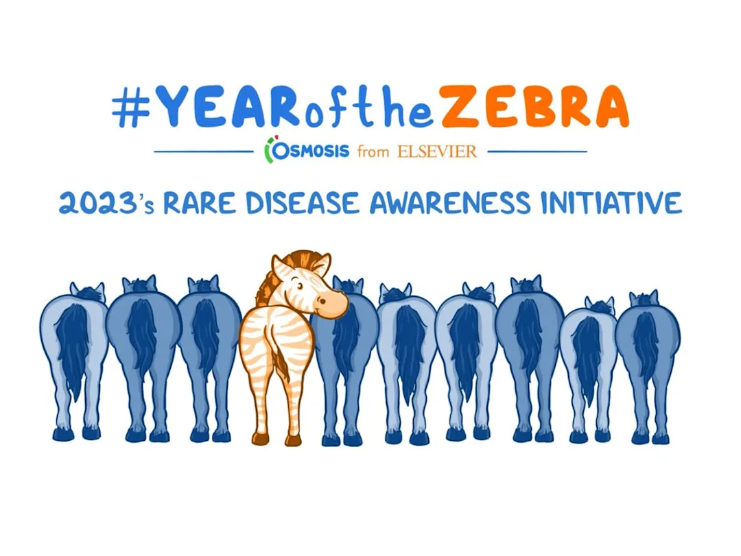 Year of the Zebra | Illuminating the impact of rare diseases worldwide ...