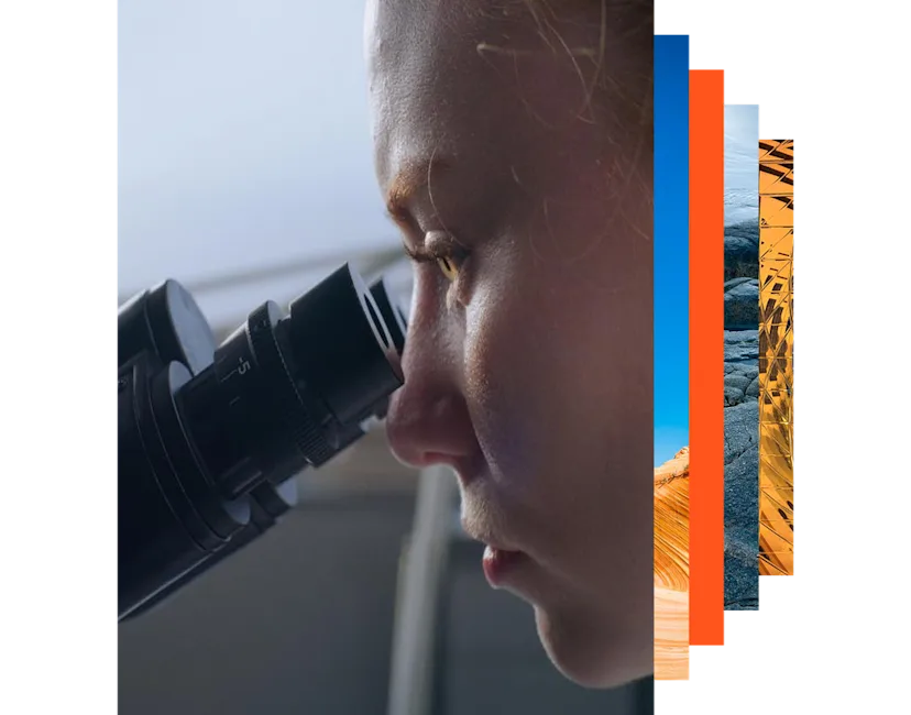 ScienceDirect | Peer-reviewed literature | Elsevier