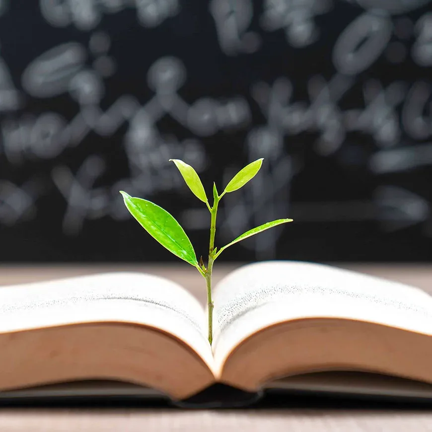 Scopus | Enseignement supérieur | Elsevier