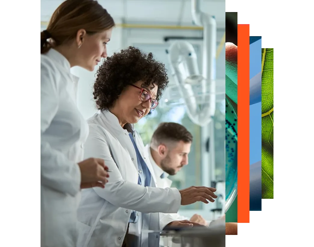 Reaxys | An expert-curated chemistry database | Elsevier