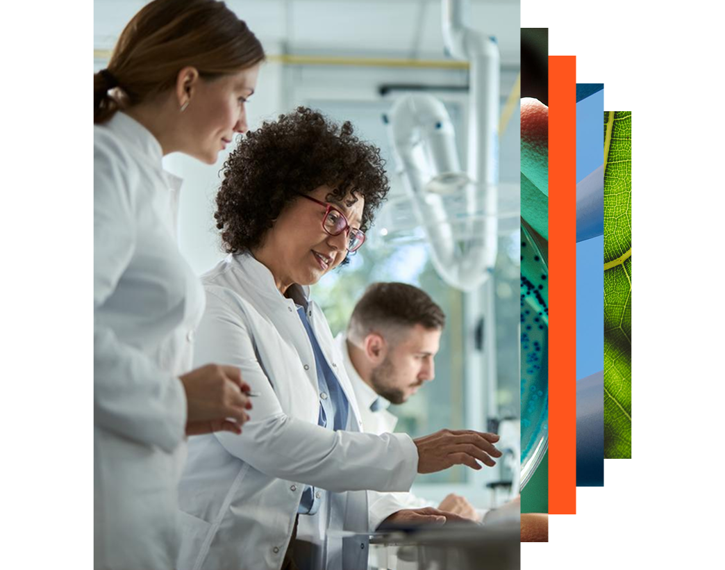 Reaxys | An expert-curated chemistry database | Elsevier