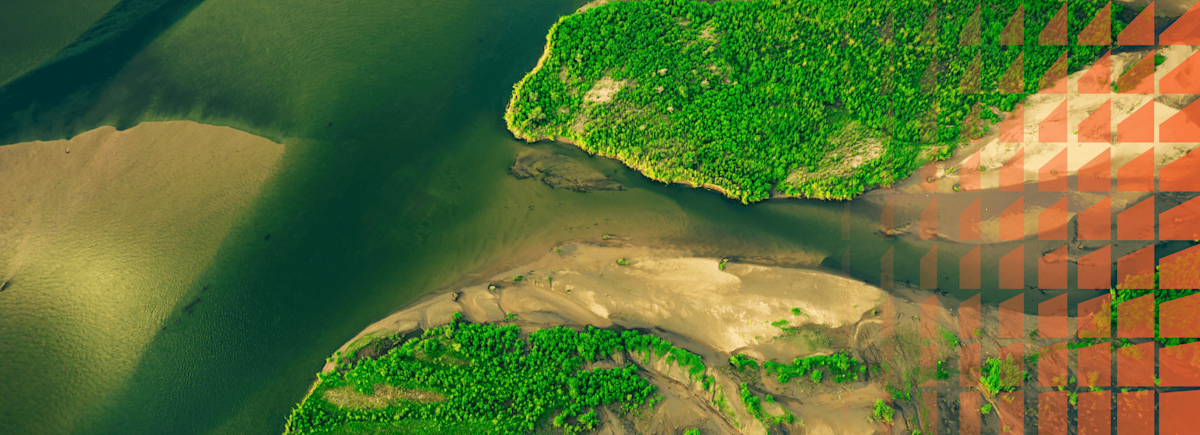 Meet Elsevier's Climate Action Board