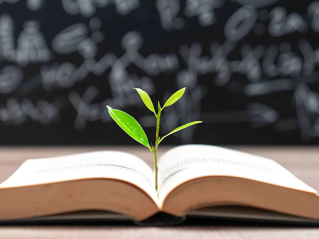 Mendeley | Free reference manager | Elsevier