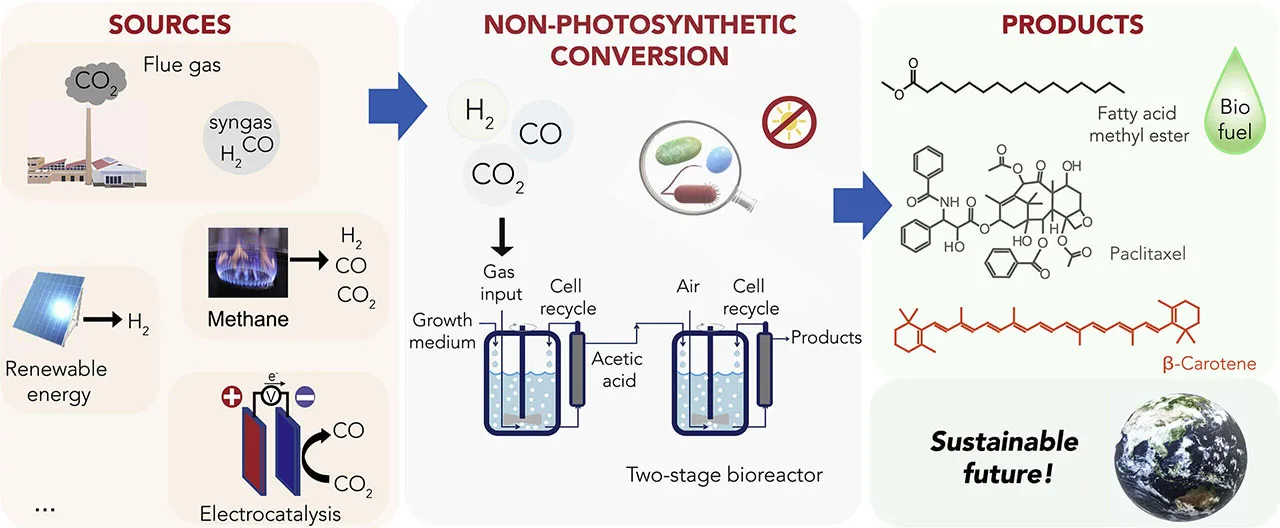 Carbon capture, utilization and storage (CCUS) guide for engineers | Elsevier