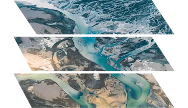 SciBite | Technology that unlocks scientific data | Elsevier