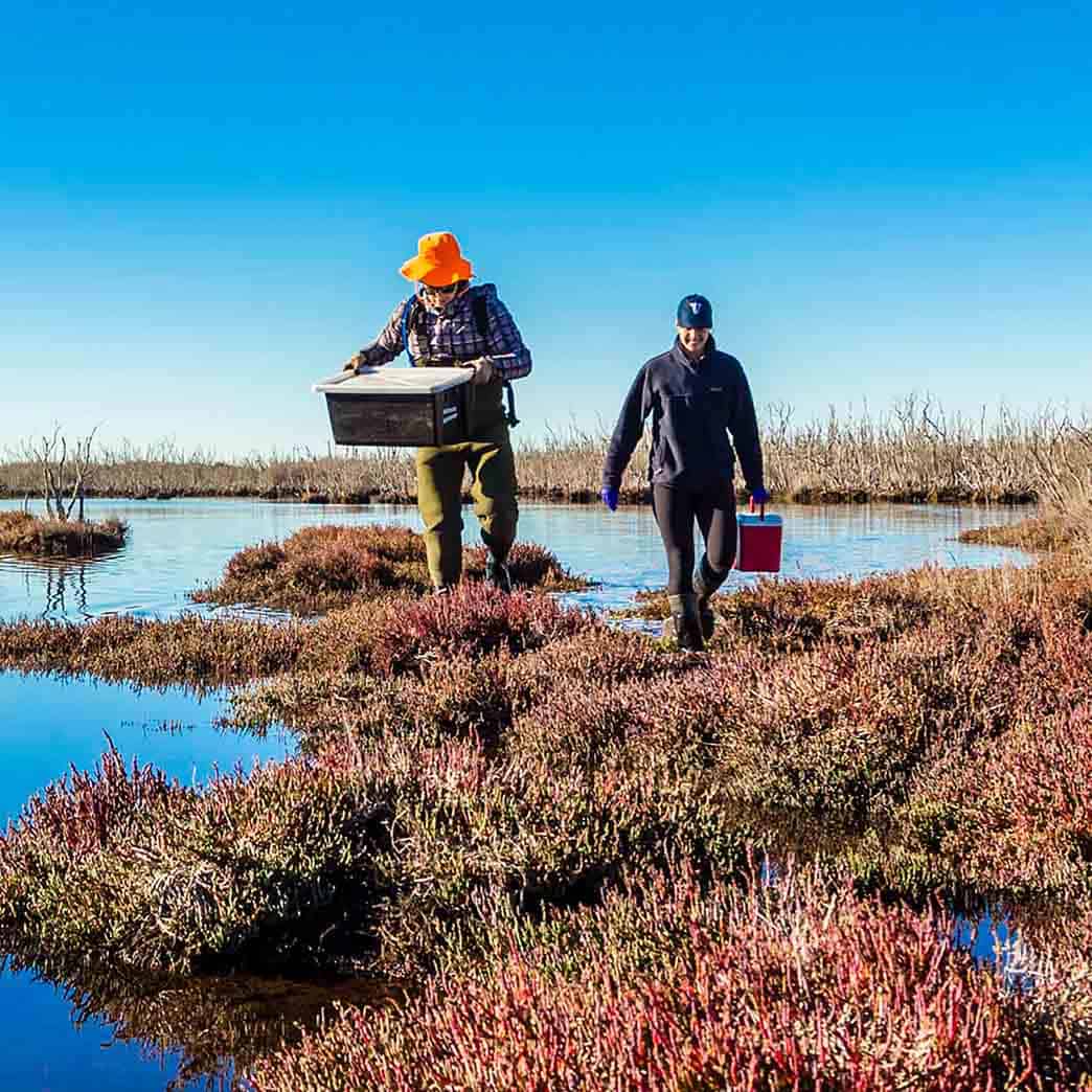 Government research | ScienceDirect | Elsevier