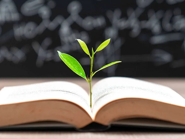 Scopus | Abstract and citation database | Celebrating 20 years of ...