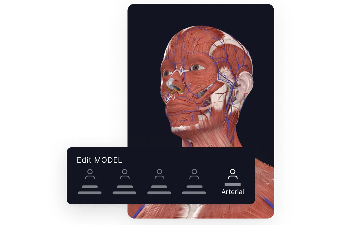 3D Anatomy Platform | Complete Anatomy | Elsevier