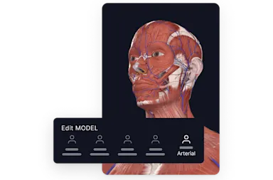 3D Anatomy Platform | Complete Anatomy | Elsevier