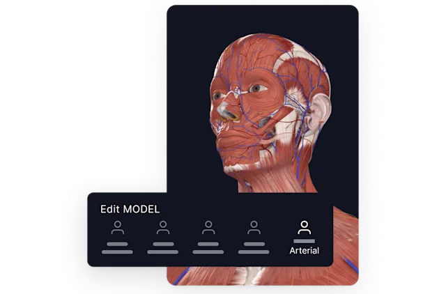 3D Anatomy Platform | Complete Anatomy | Elsevier
