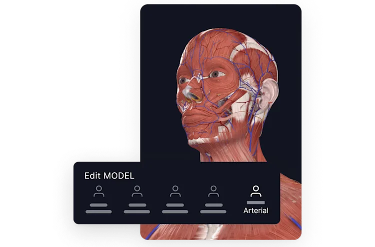 3D Anatomy Platform | Complete Anatomy | Elsevier