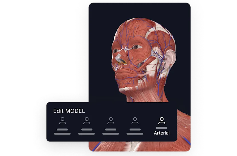 3D Anatomy Platform | Complete Anatomy | Elsevier