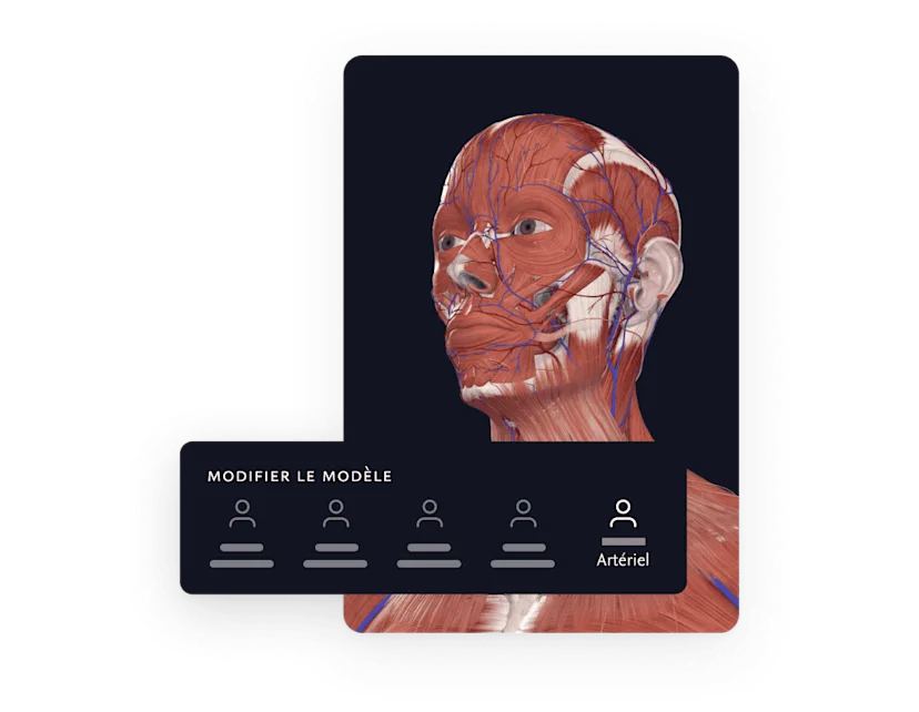 Plateforme d’anatomie 3D | Complete Anatomy | Elsevier