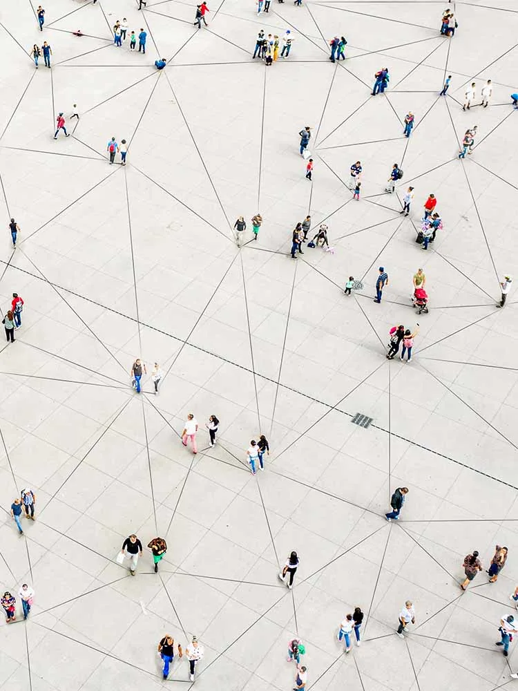 Research data management (RDM)