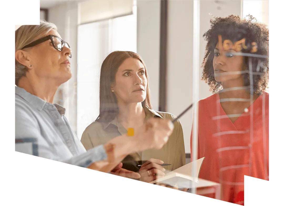 Open access | Elsevier