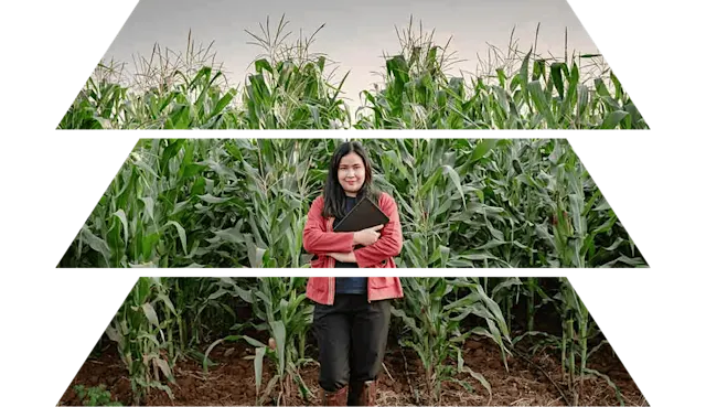 Stem Education Tools And Databases Elsevier