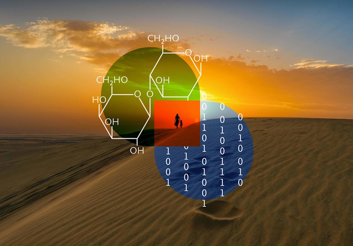 Innovation Intelligence for R&D | Elsevier