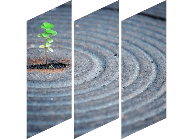 Scibite Technology That Unlocks Scientific Data Elsevier