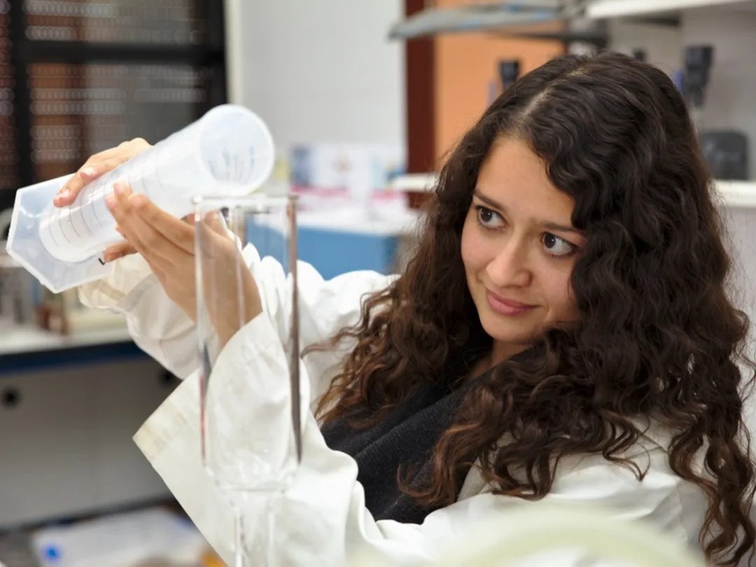 Open access | Elsevier