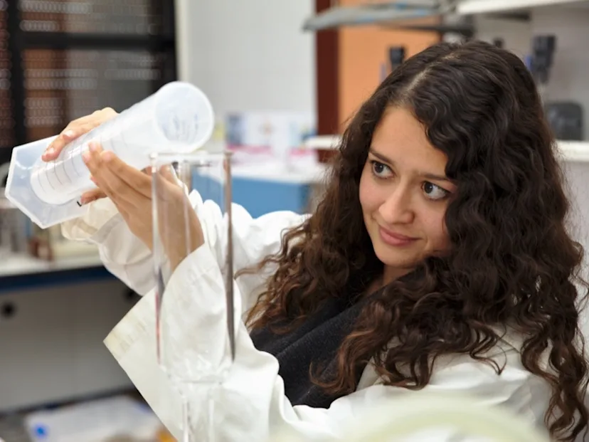 Open access | Elsevier