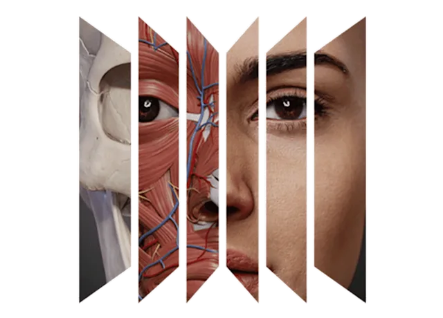 3D Anatomy Platform | Complete Anatomy | Elsevier