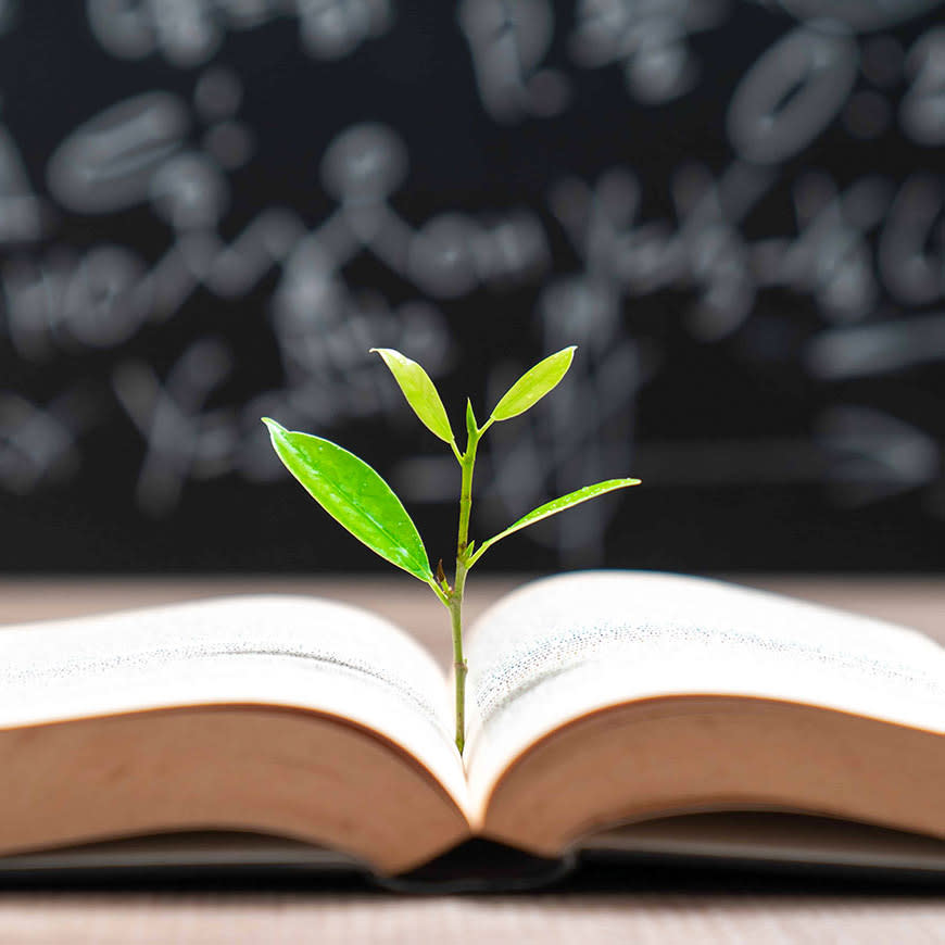 Scopus | Higher Education | Elsevier