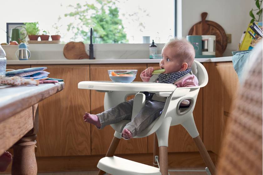 The Best First Foods for Babies 6 to 9 Months: A Comprehensive Guide ...